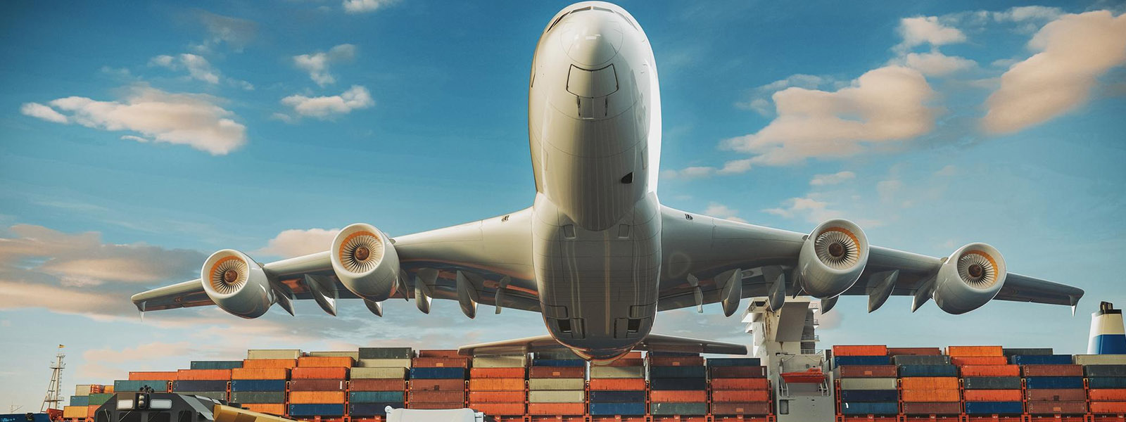 Triva Logistics