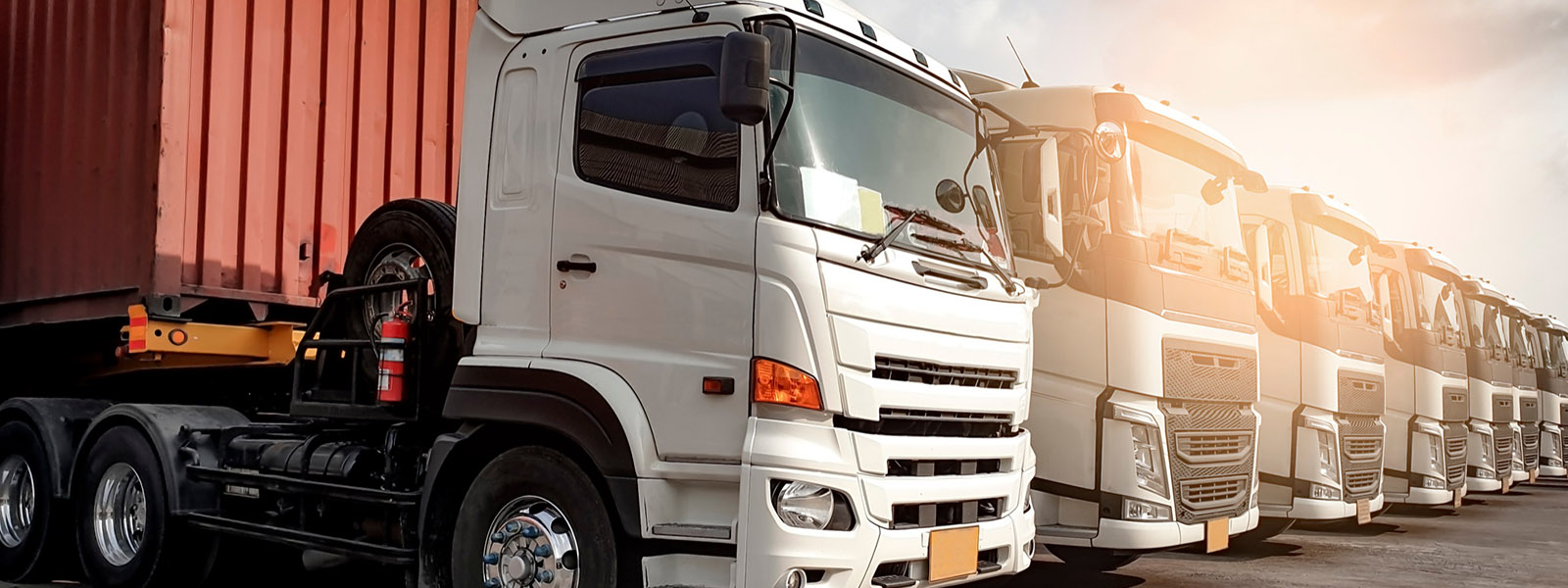 Triva Logistics